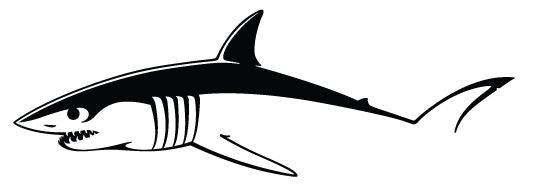 Shark Hunter Vinyl Decal – Rebel Road Authentic